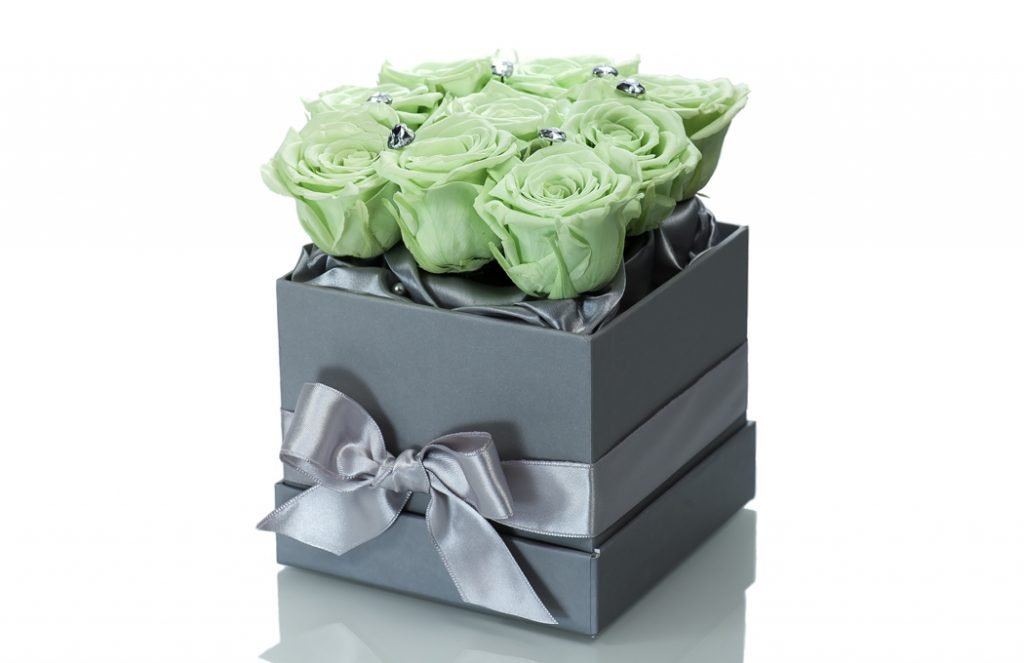 Infinity Green Roses in a Box