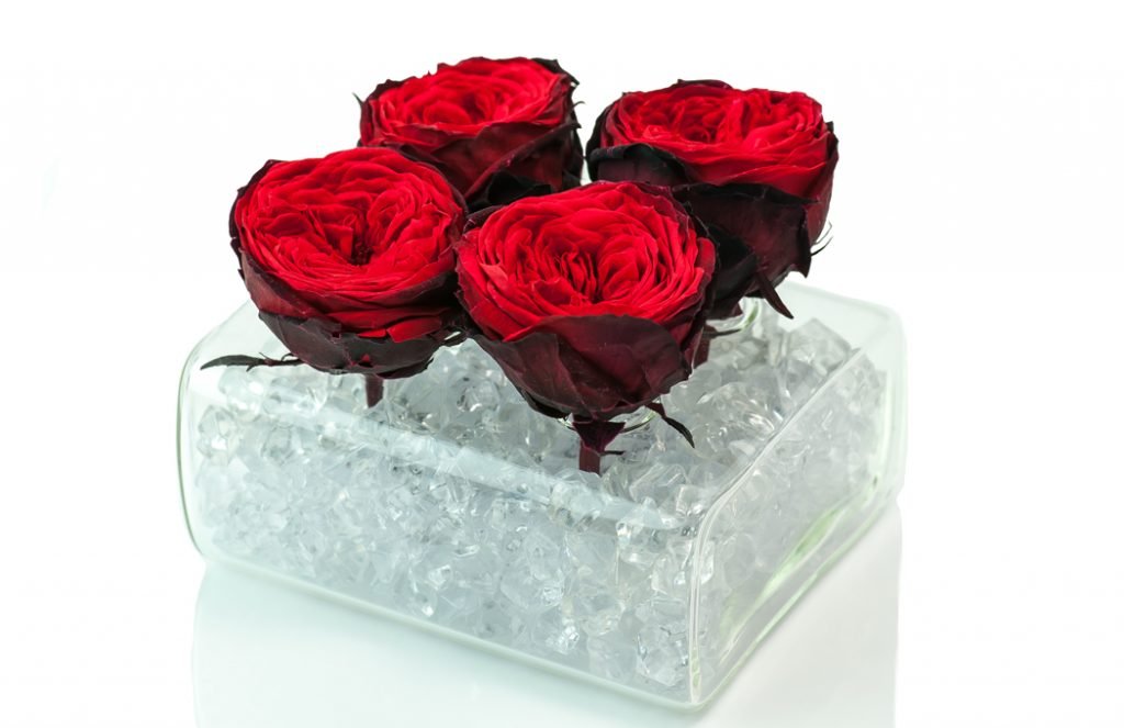 Preserved Red English Roses - AmbienceDecoJM