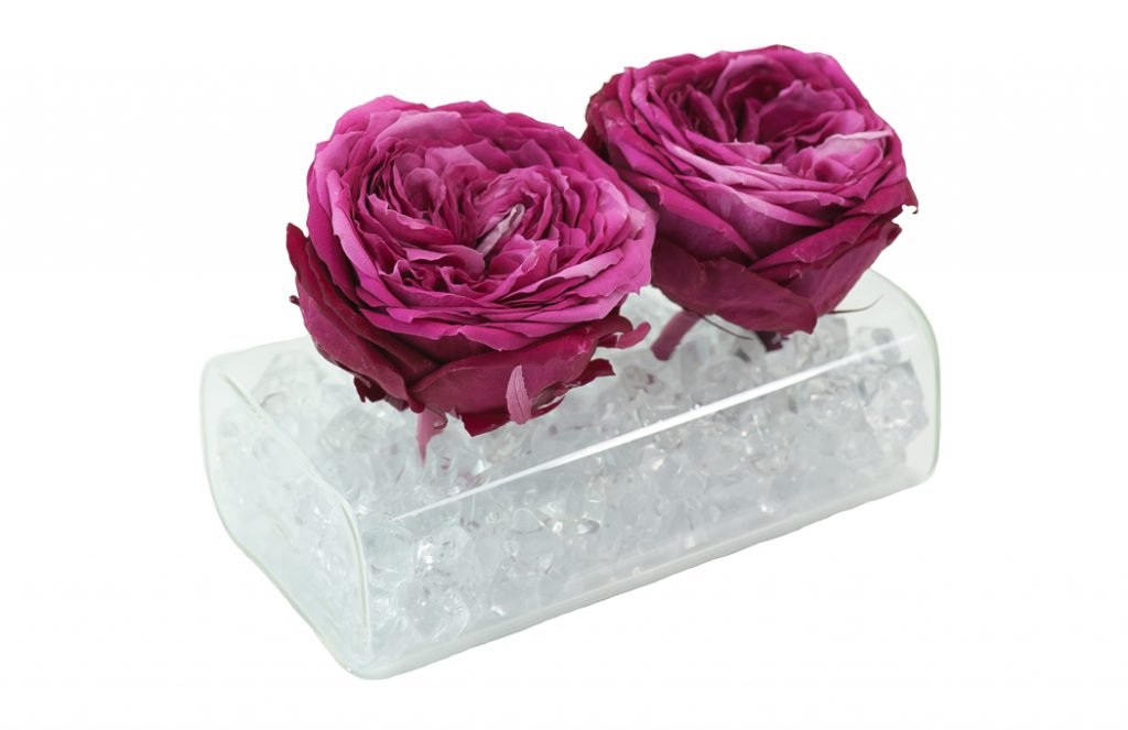 Preserved English pink roses - Ambience Deco JM