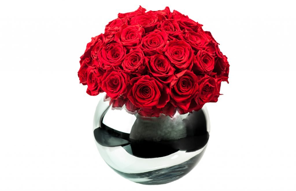 Preserved red roses in fishbowl