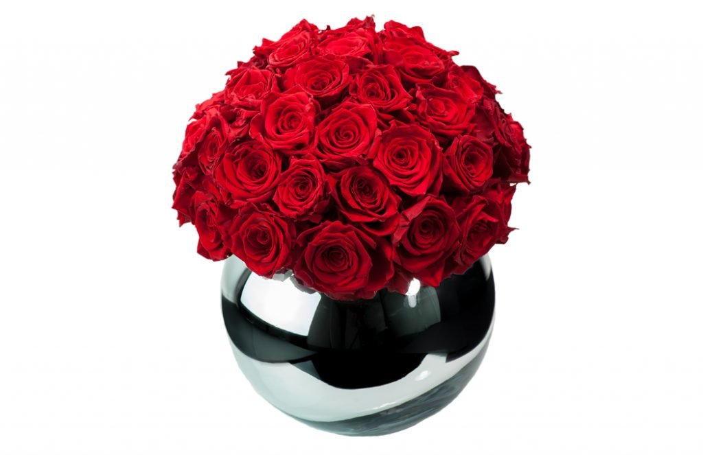 Preserved red roses in fishbowl