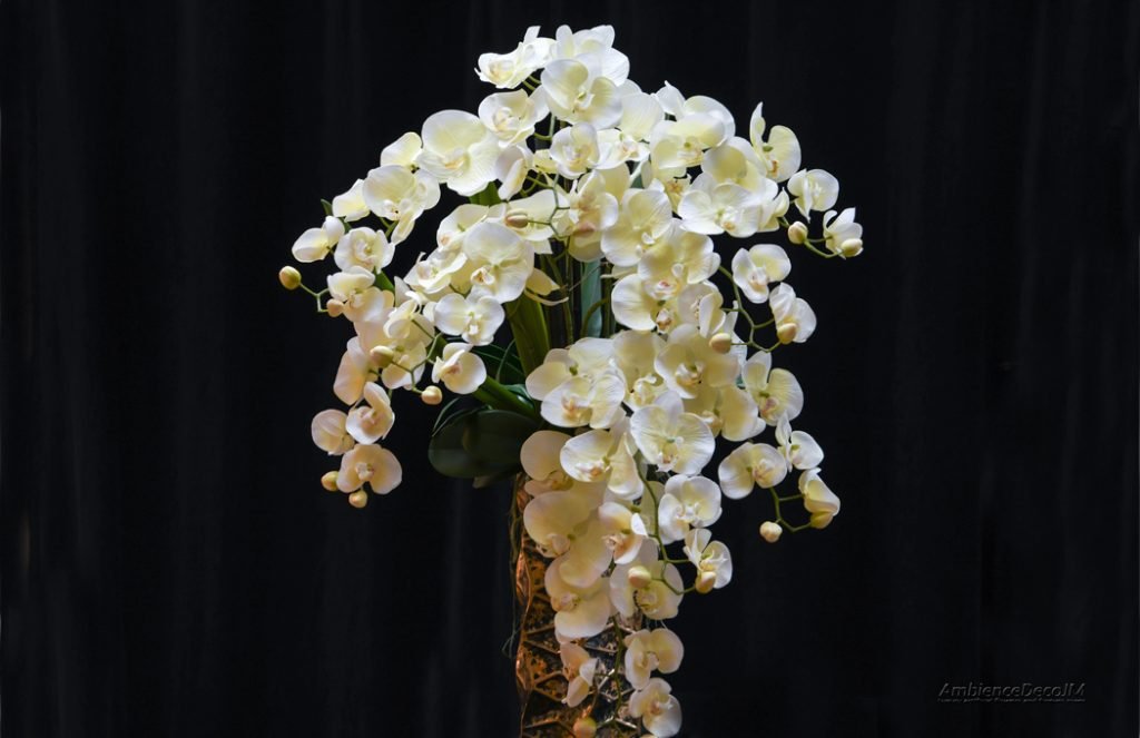 Floor standing orchid arrangement | Preserved Floral Arrangements ...
