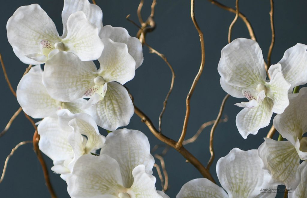 White Vanda Orchid Arrangement | Preserved Floral Arrangements & Silk ...